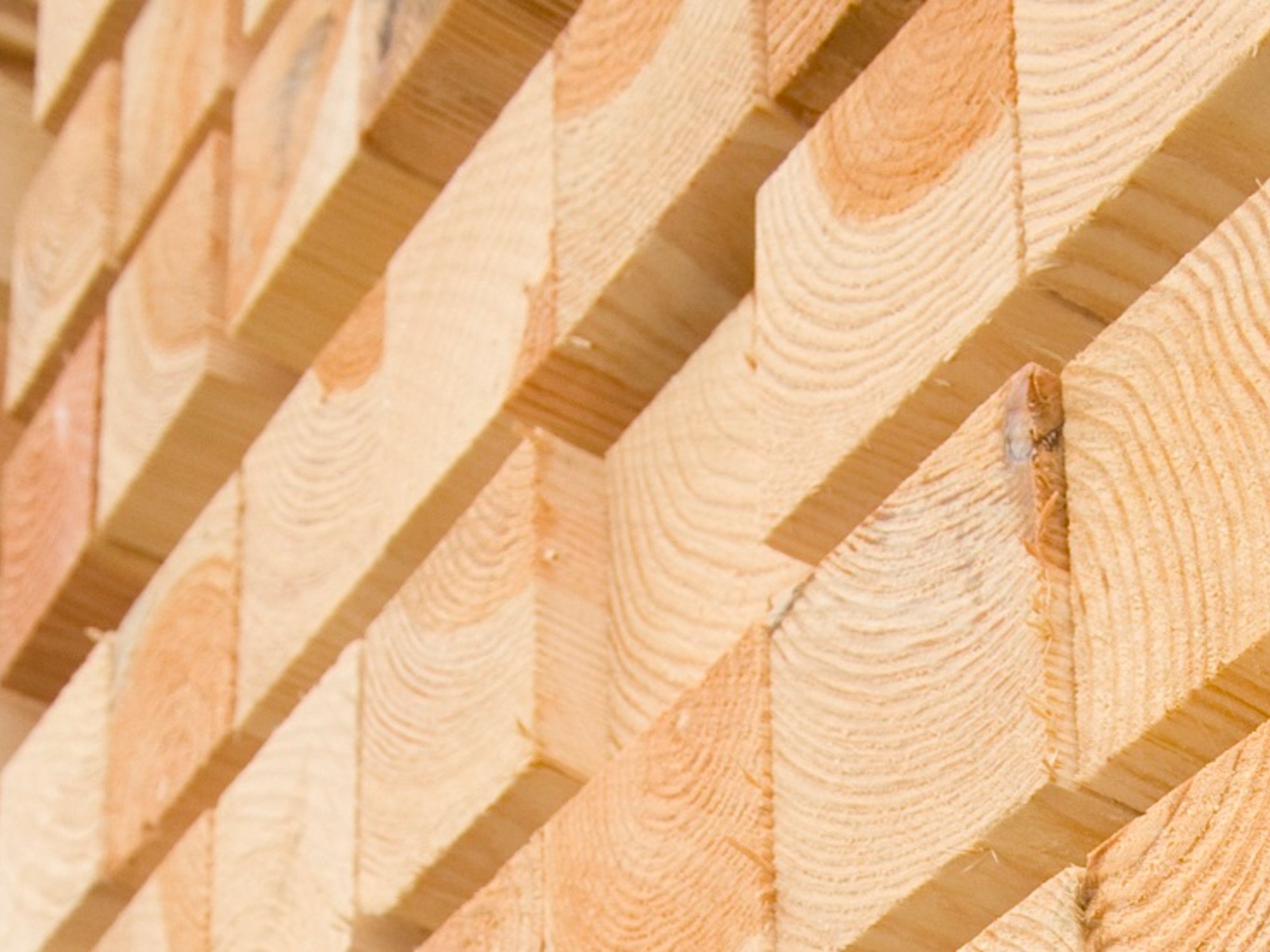 Fijn bezagen | IDE Woods